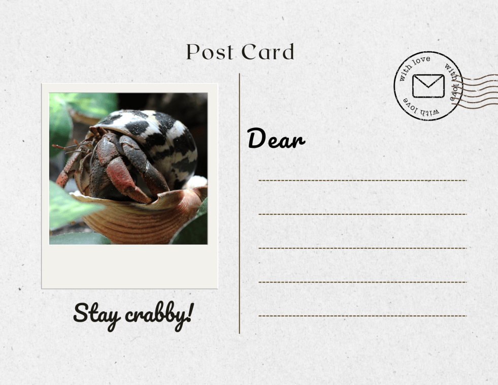 Printable Hermit Crab Postcards – Happy Crabitat